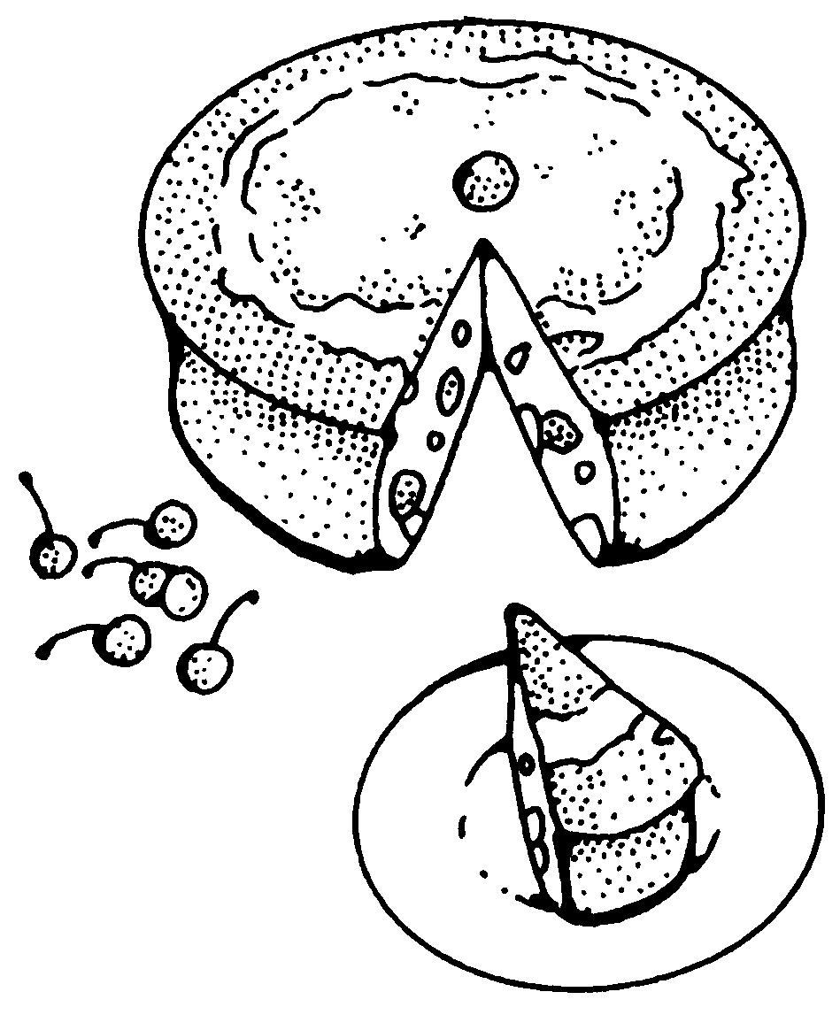 Tsuchida K: Something from the Dessert Menu – Drinking Japan
