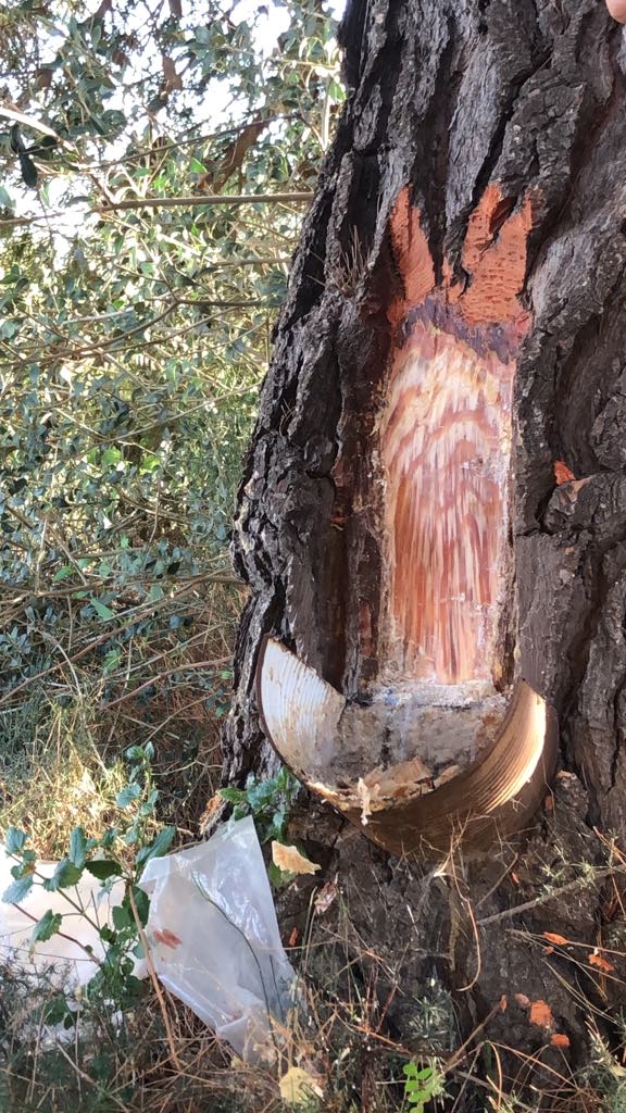 Greek Wine: It’s NOT Just Retsina, Part 1 – Drinking Japan