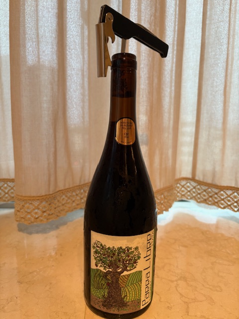 Encounter at Raw Wine Tokyo 2025: Parra Libre Cinsault – Drinking Japan